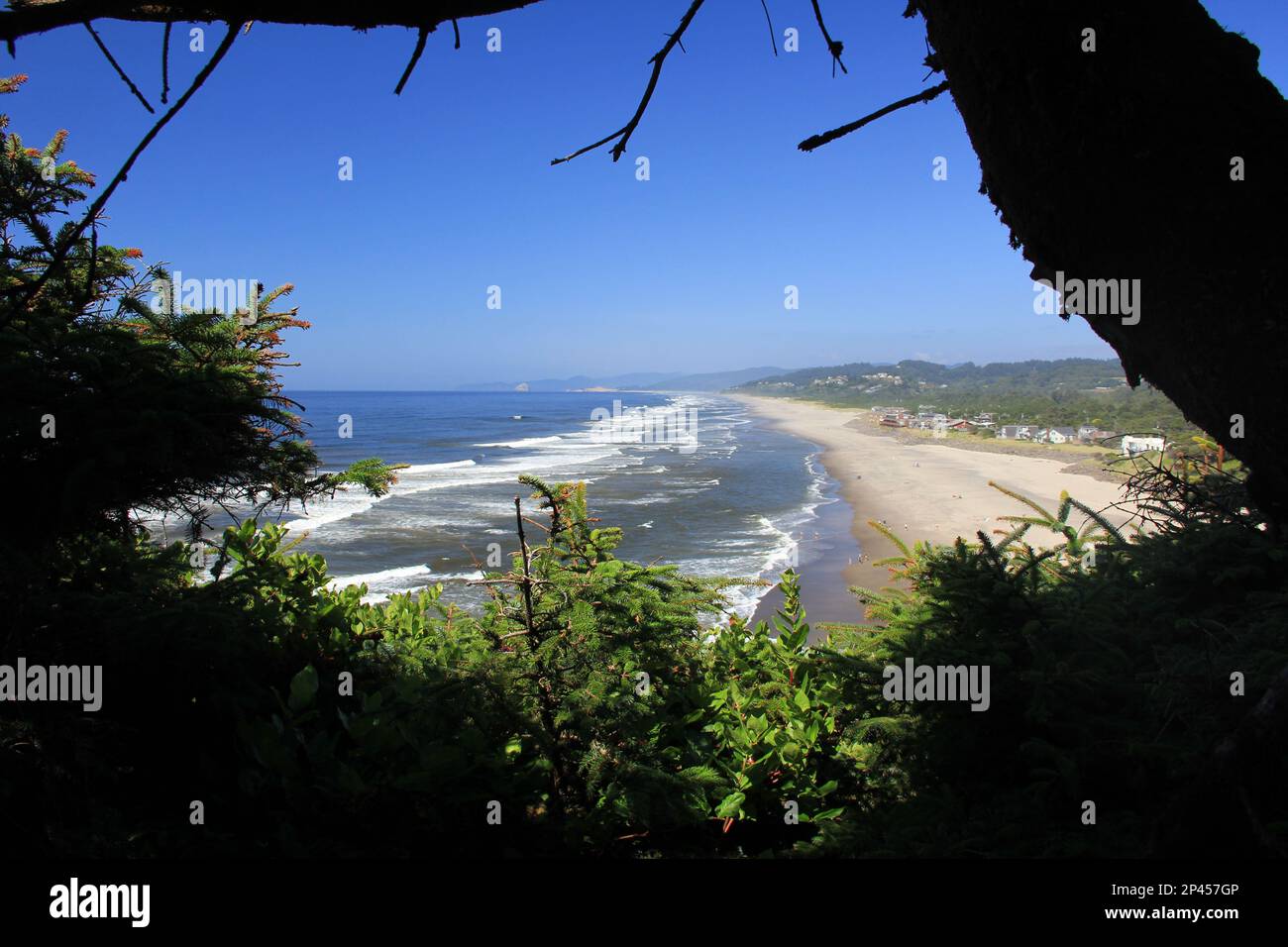 This recent photo shows the view from Proposal Rock along the Pacific ...