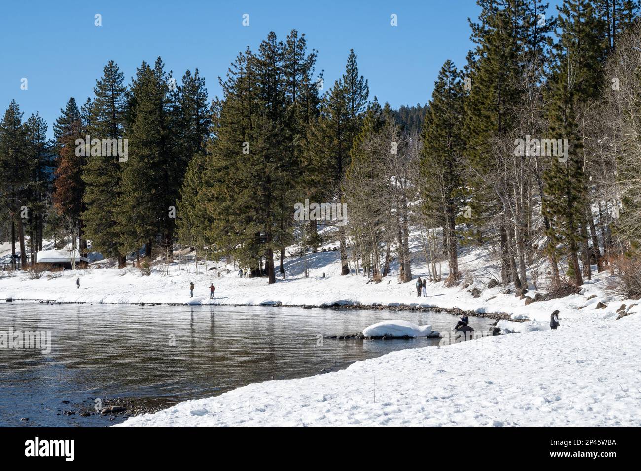Tahoe City, 28 January 2023. Lake shore covered in snow on a blue sky ...