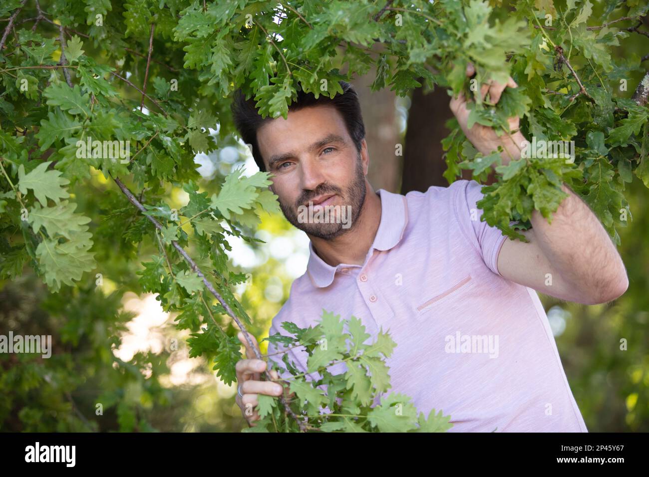 Rugged handsome man face hi-res stock photography and images - Alamy