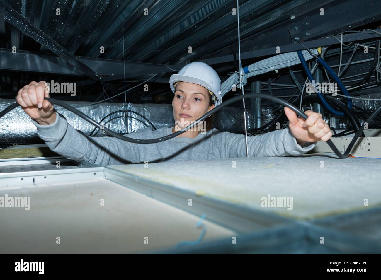 portrait of woman wiring ceiling Stock Photo - Alamy