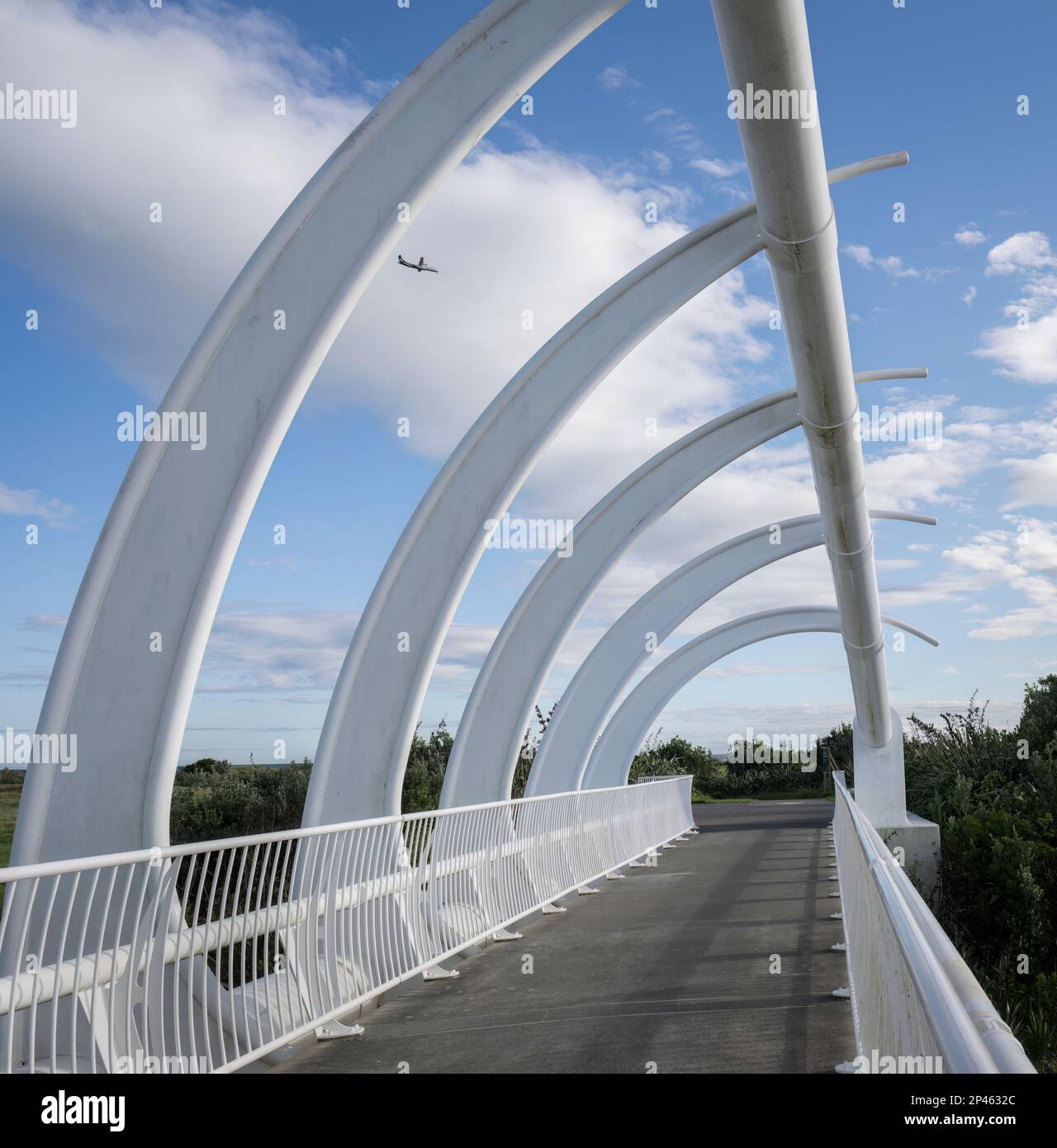 An Air New Zealand airplane flying over Te Rewa Rewa bridge. New ...