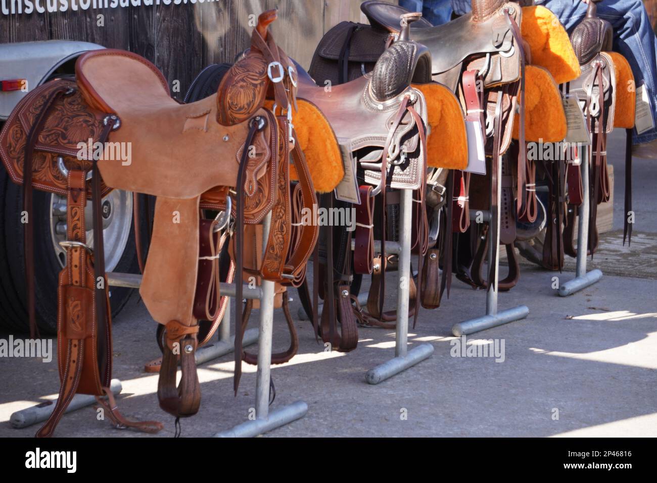 Reins saddles hi-res stock photography and images - Alamy