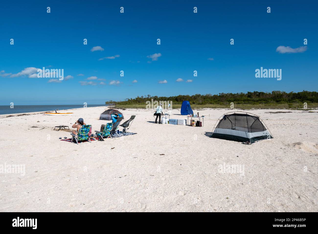 Everglades National Park, Florida - February 23, 2023 - Young adults ...