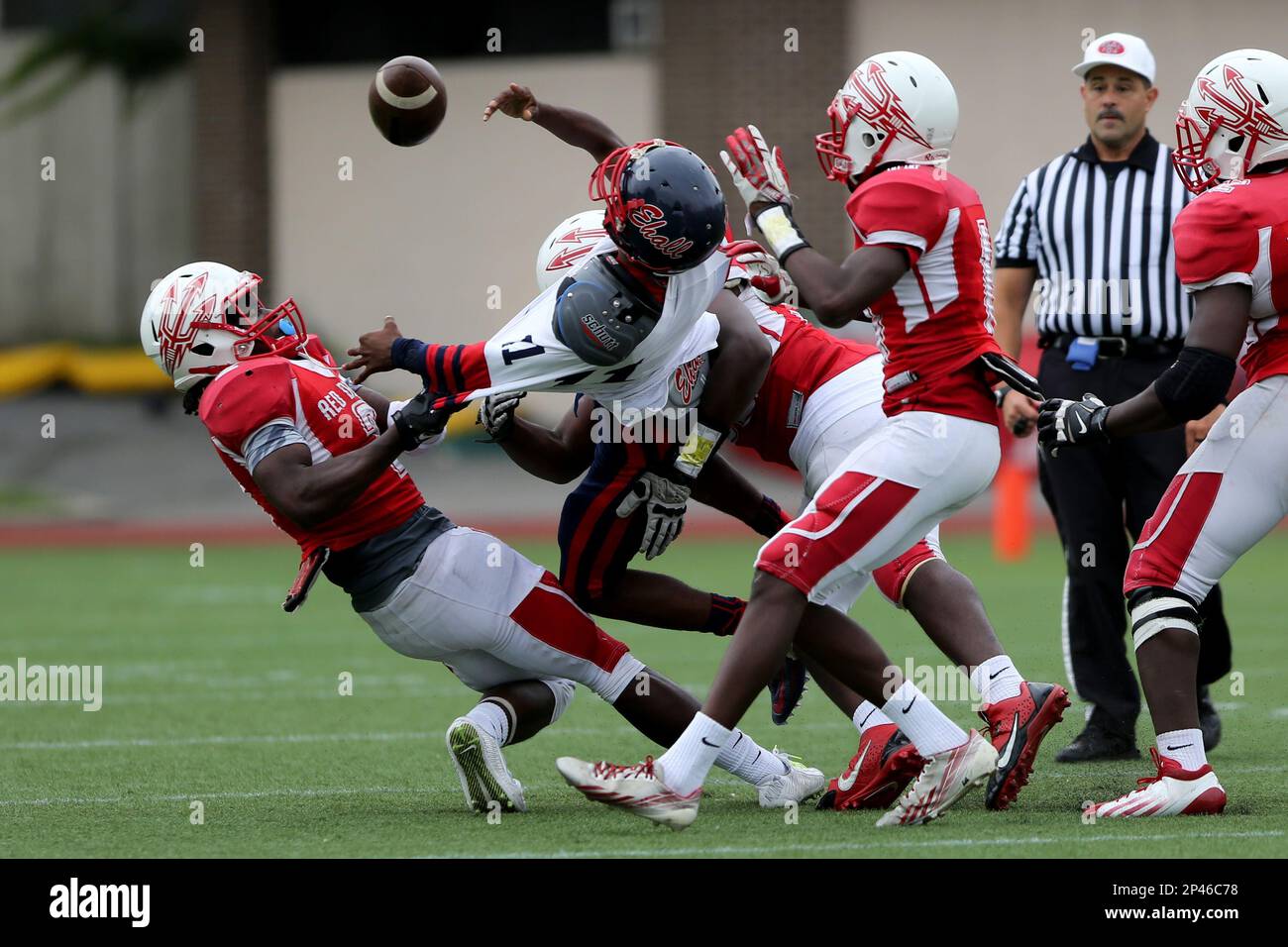 Erasmus Hall Flying Dutchmen QB Aaron Grant #11 in action, getting ...