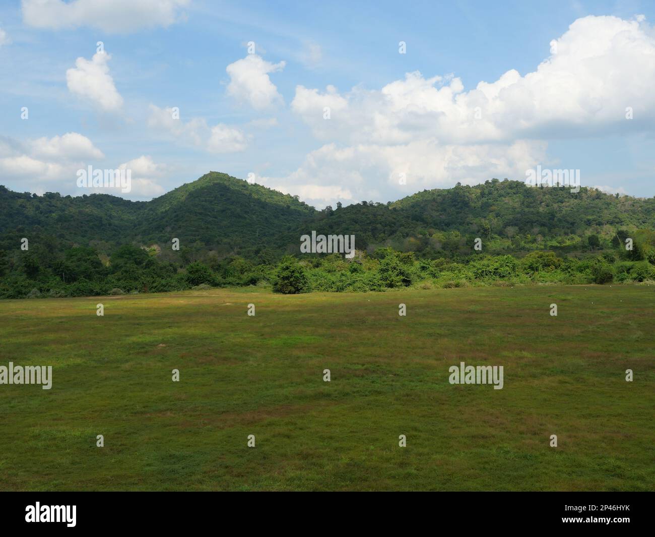 Meadow with green forest on mountain with blue and white cloud in ...
