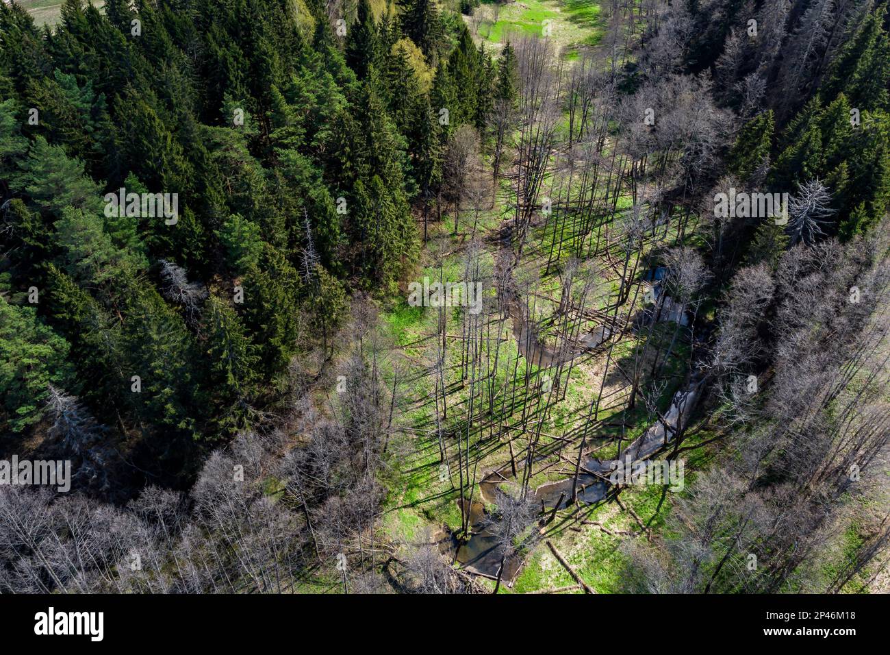 Aerial view of a picturesque landscape with a small river flowing ...