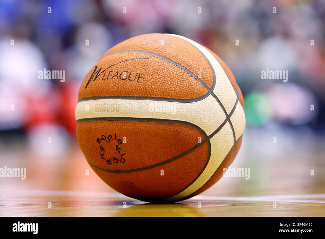 Predator Urayasu Arena, Chiba, Japan. 4th Mar, 2023. General view ...