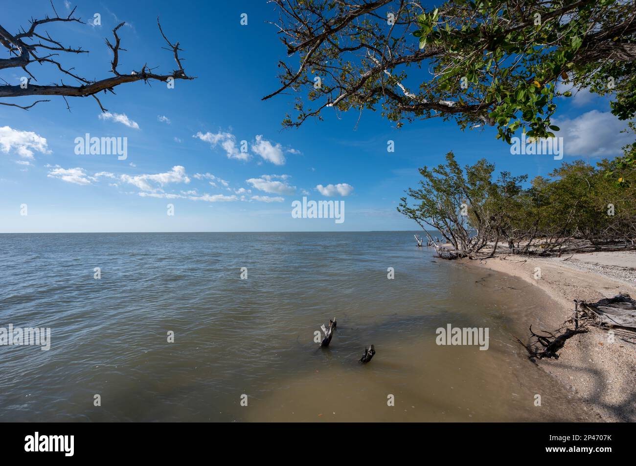 Beach at Middle Cape Sable and Gulf of Mexico in Everglades National ...