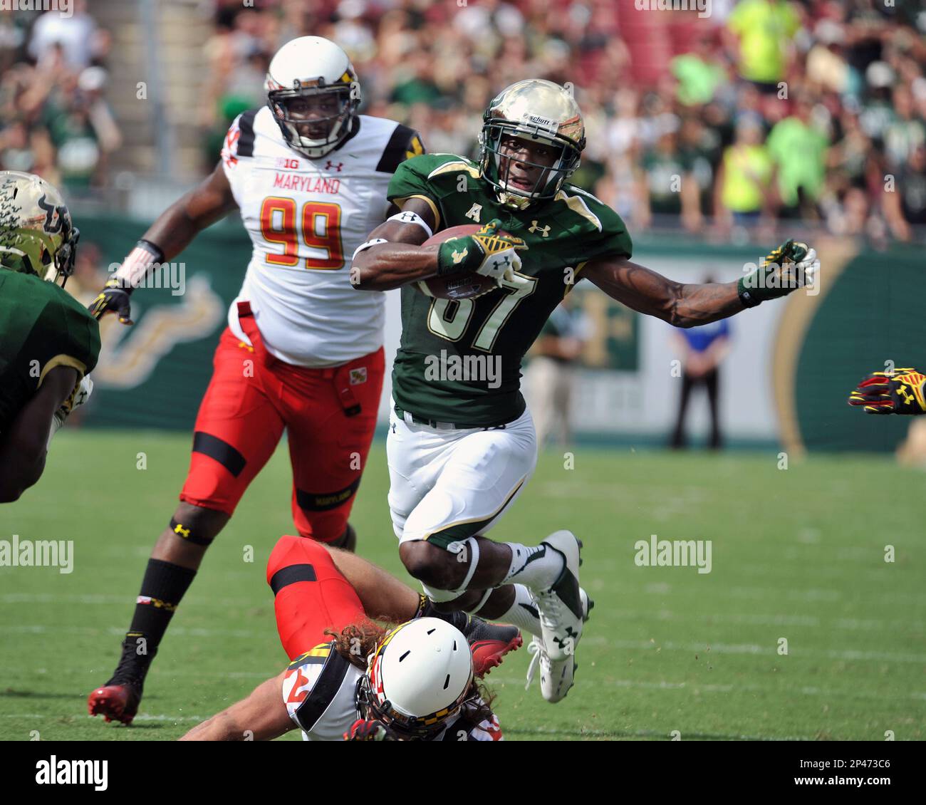 Wide receiver Rodney Adams (87) of the University of South Florida runs ...