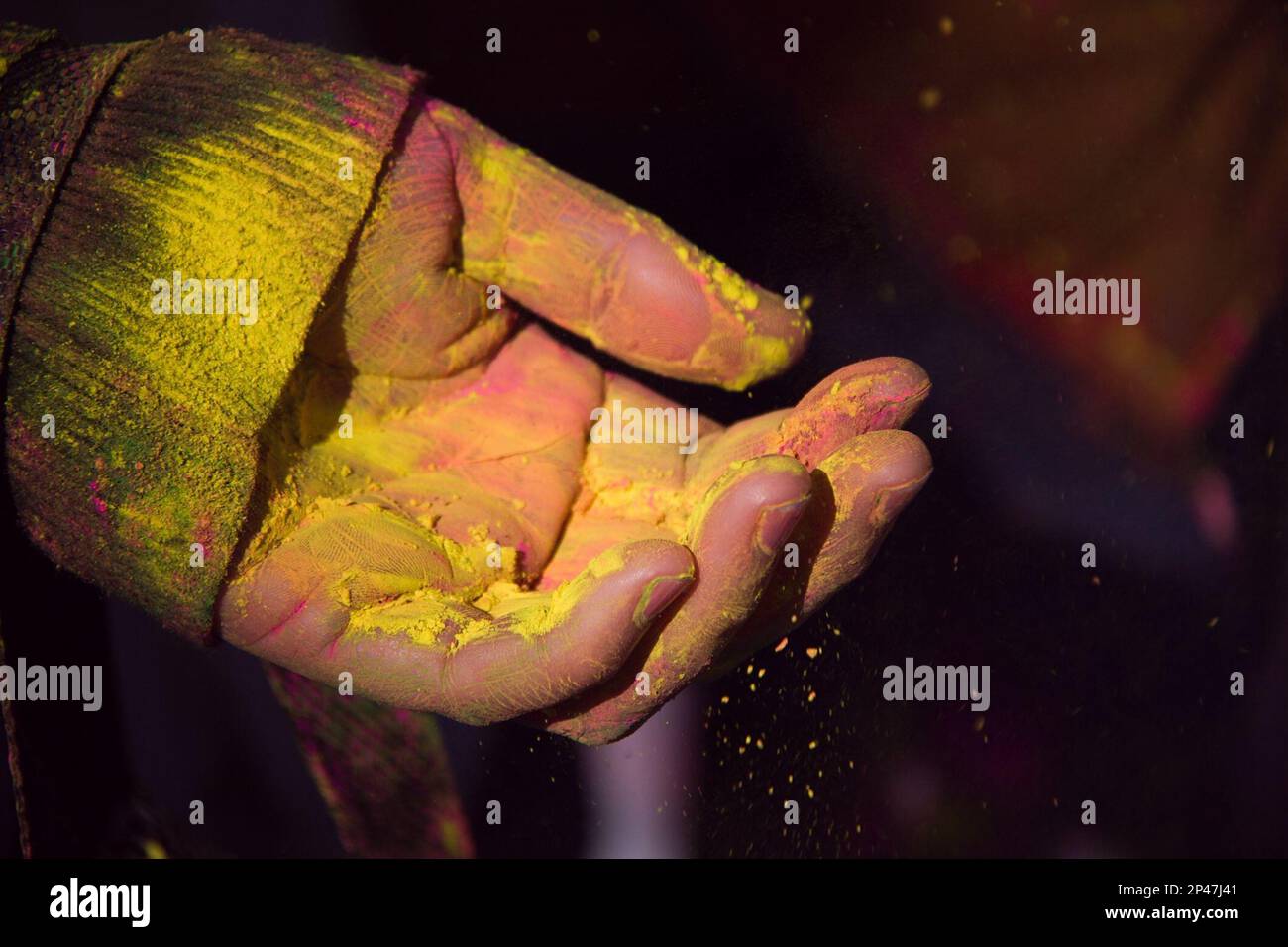 March 4, 2023 - The 5th Holi Mela in Tokyo, Japan. Holi is one of the ...