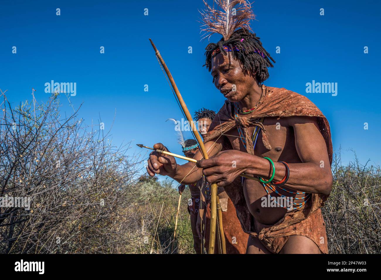 Africa, Botswana, Kalahari desert. Though no longer legally allowed to ...