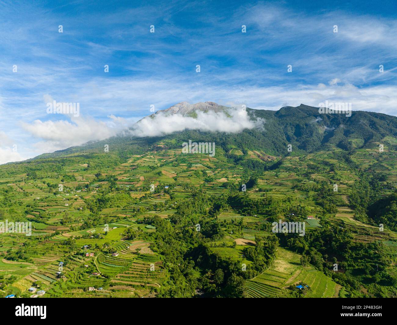 Aerial view of farmland and rice terraces on the slopes of the Canlaon ...