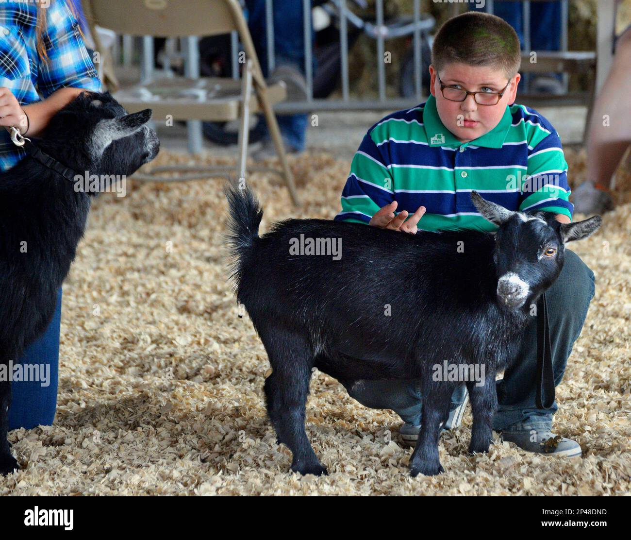 In this Aug. 1, 2014 photo, A.J. Hepner, 10, of Colfax, Ill., watches ...