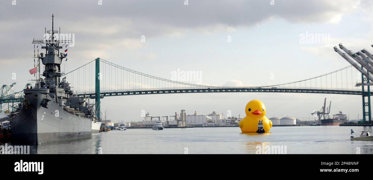 A giant yellow vinyl duck is towed under the Vincent Thomas Bridge in ...