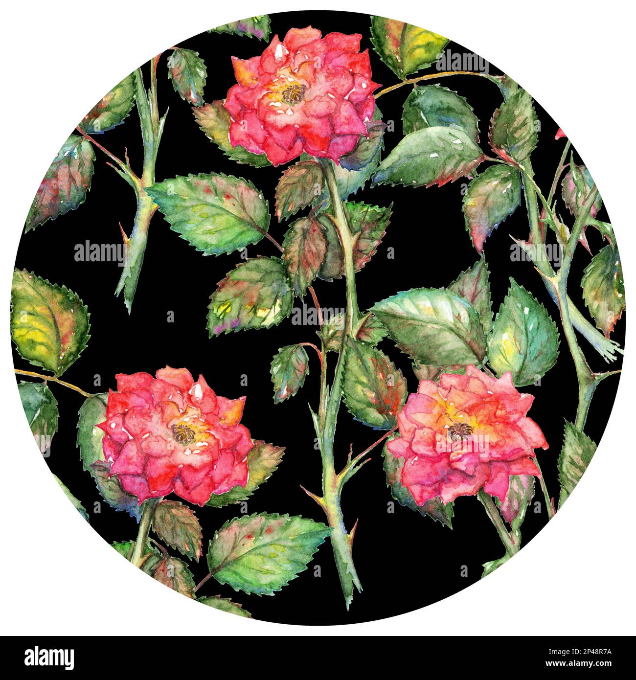 Watercolor pink roses circle pattern texture background Stock Photo - Alamy