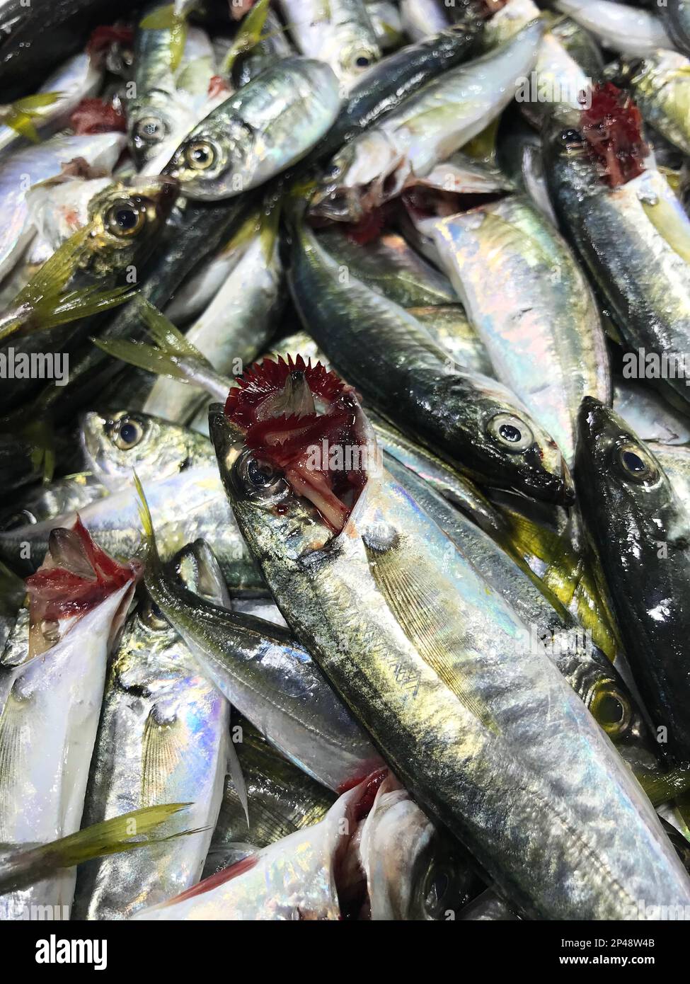 Istavrit hi-res stock photography and images - Alamy