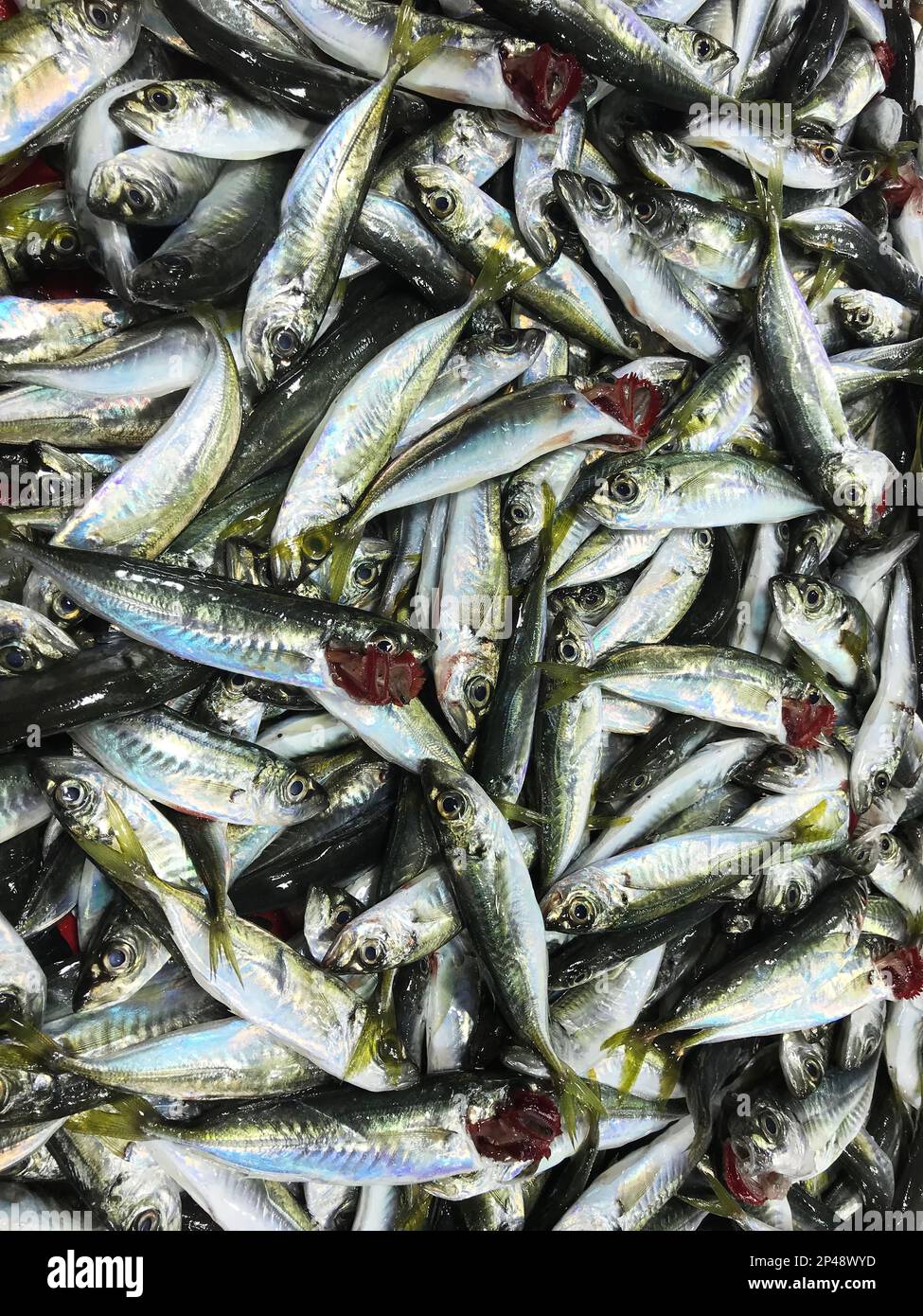 Istavrit hi-res stock photography and images - Alamy