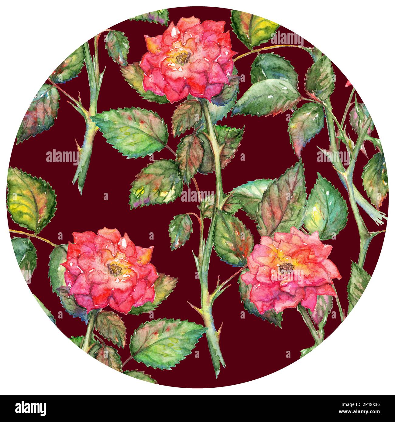 Watercolor pink roses circle pattern texture background Stock Photo - Alamy