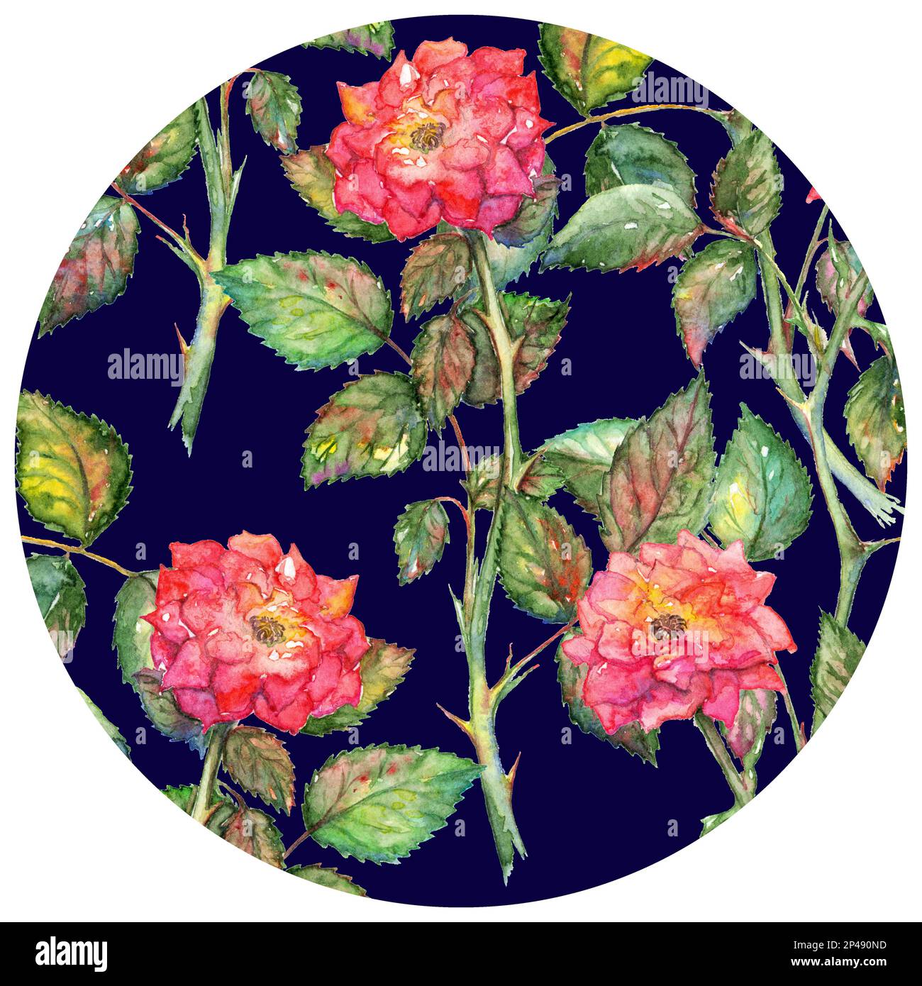 Watercolor pink roses circle pattern texture background Stock Photo - Alamy