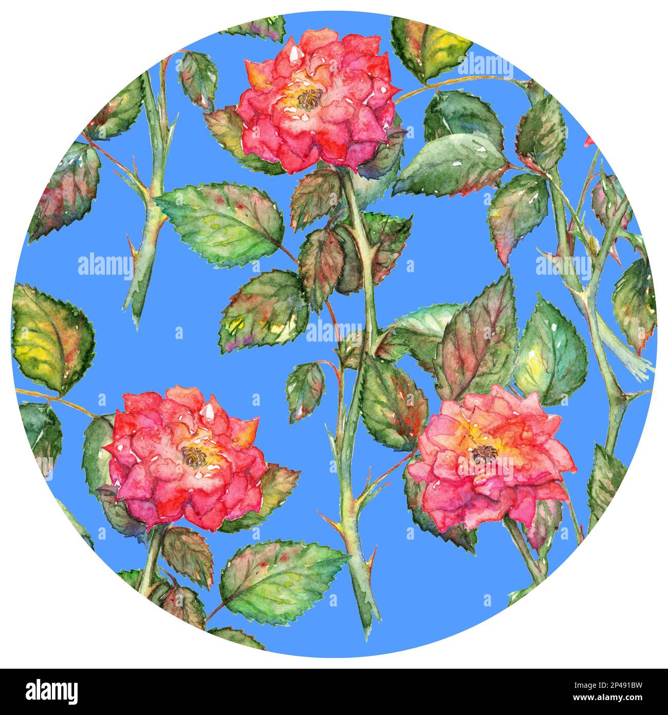 Watercolor pink roses circle pattern texture background Stock Photo - Alamy
