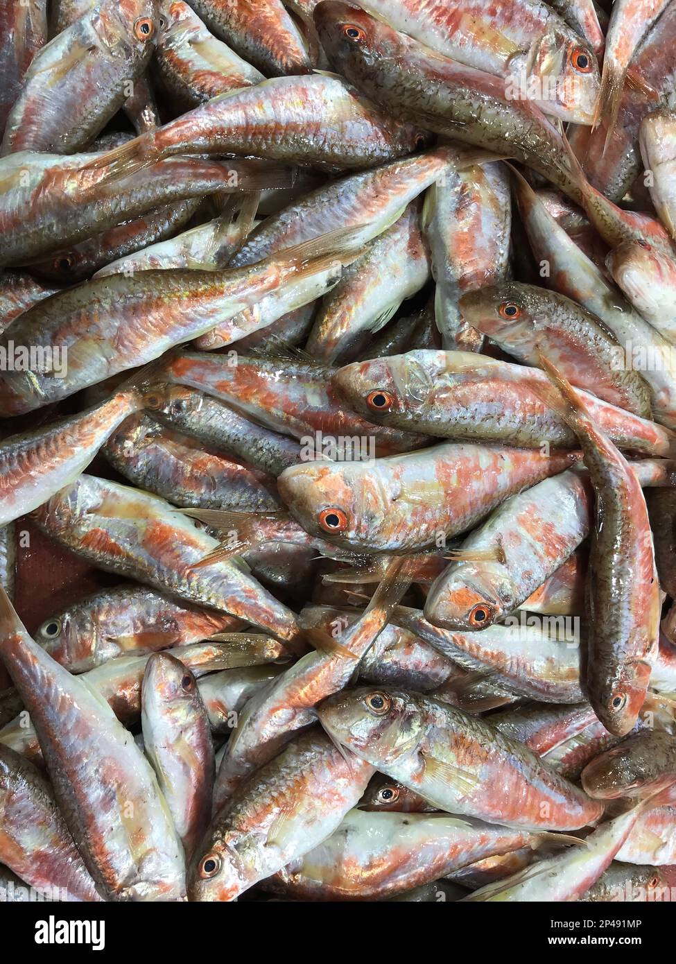 Red mullet sale on fish hi-res stock photography and images - Alamy