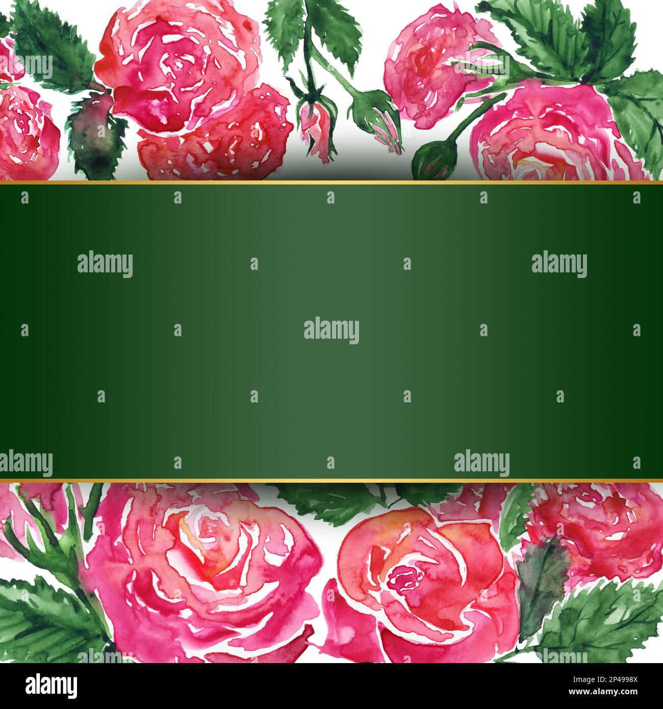 Watercolor pink crimson red rose peony flower floral composition frame ...