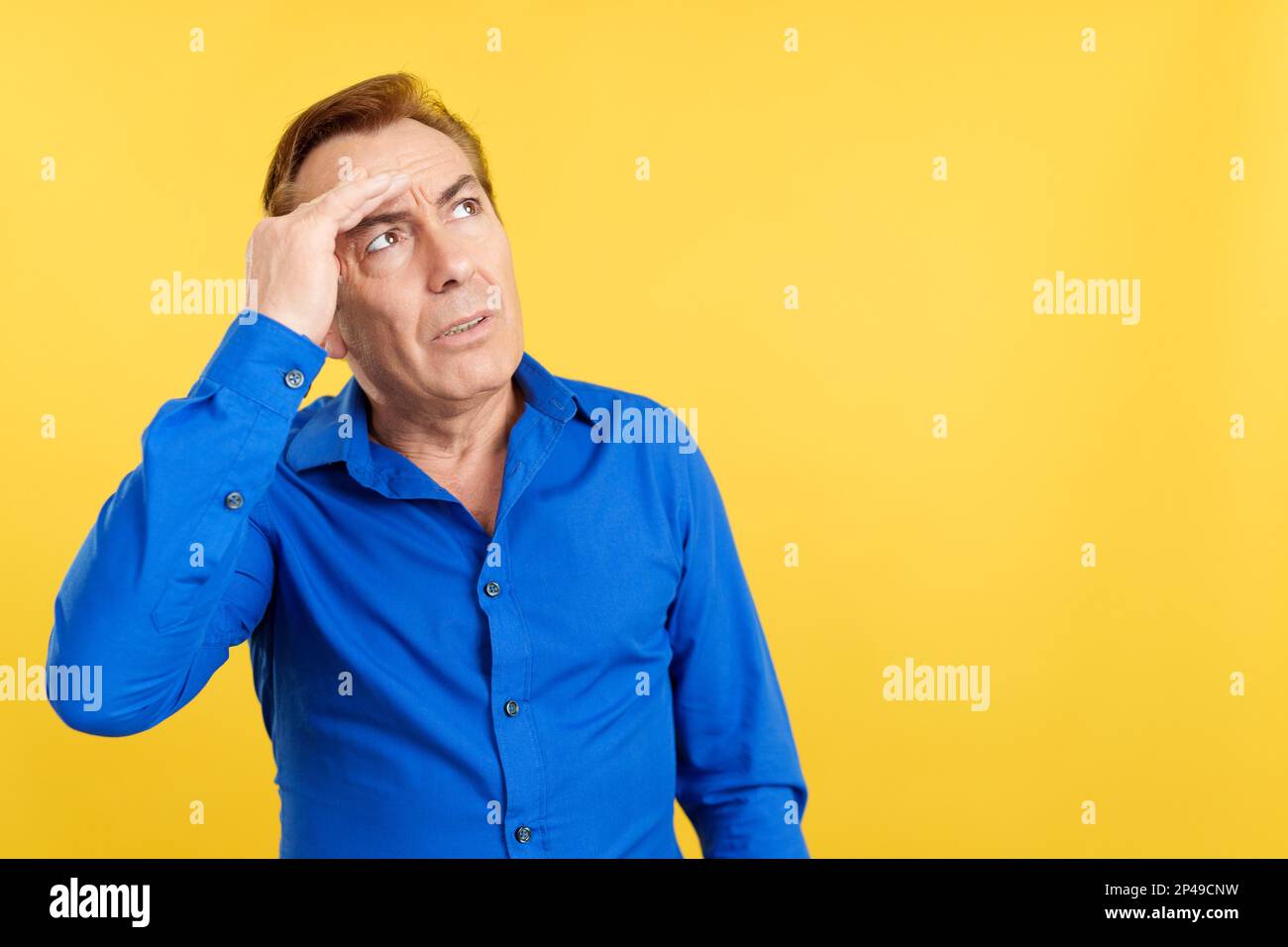 Forget me not flowers with negative space hi-res stock photography and ...