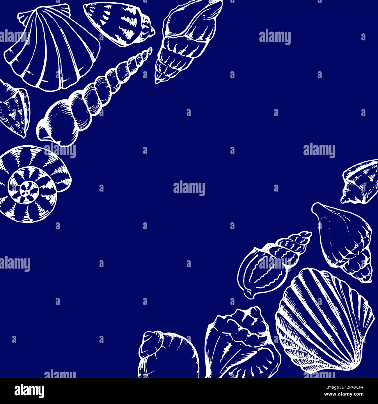Monochrome sea shells line art hand drawn frame vector isolated Stock ...