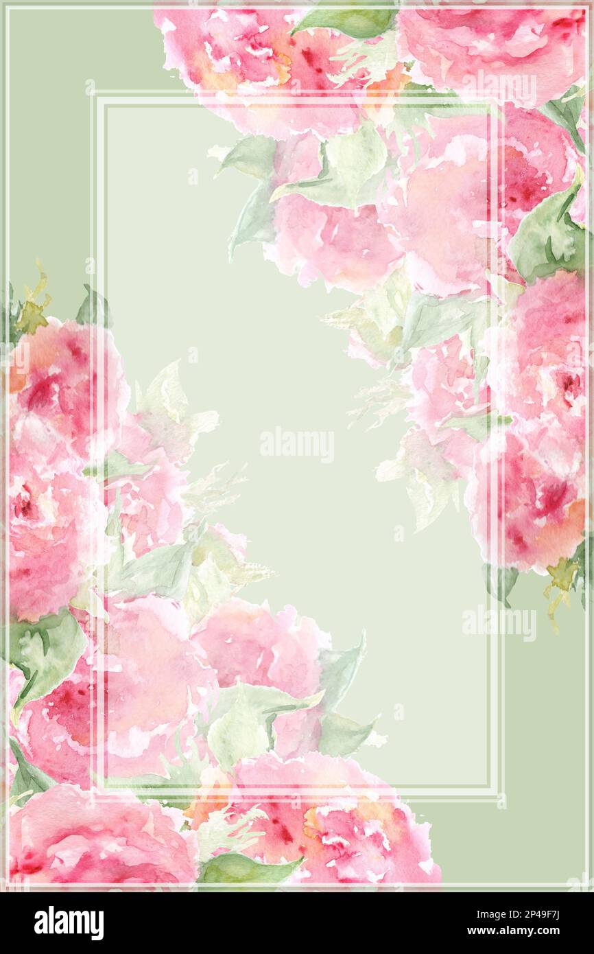 Watercolor pink tea rose peony flower floral composition frame border ...