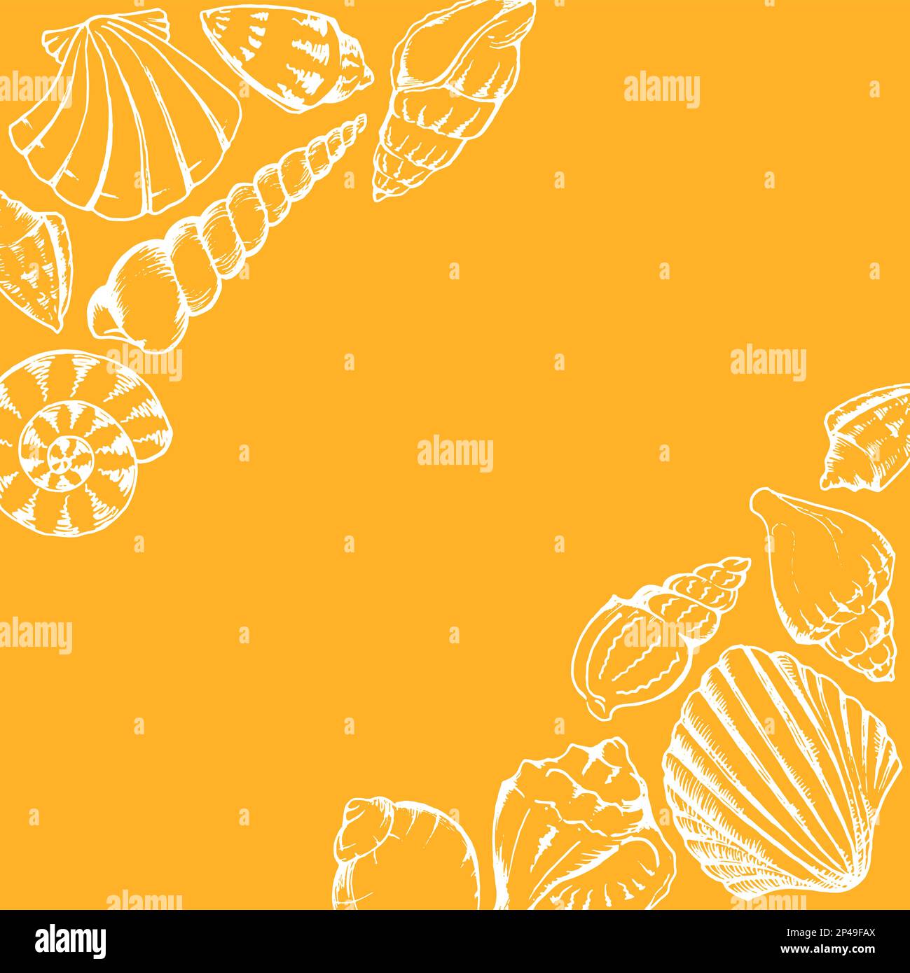 Monochrome sea shells line art hand drawn frame vector isolated Stock ...