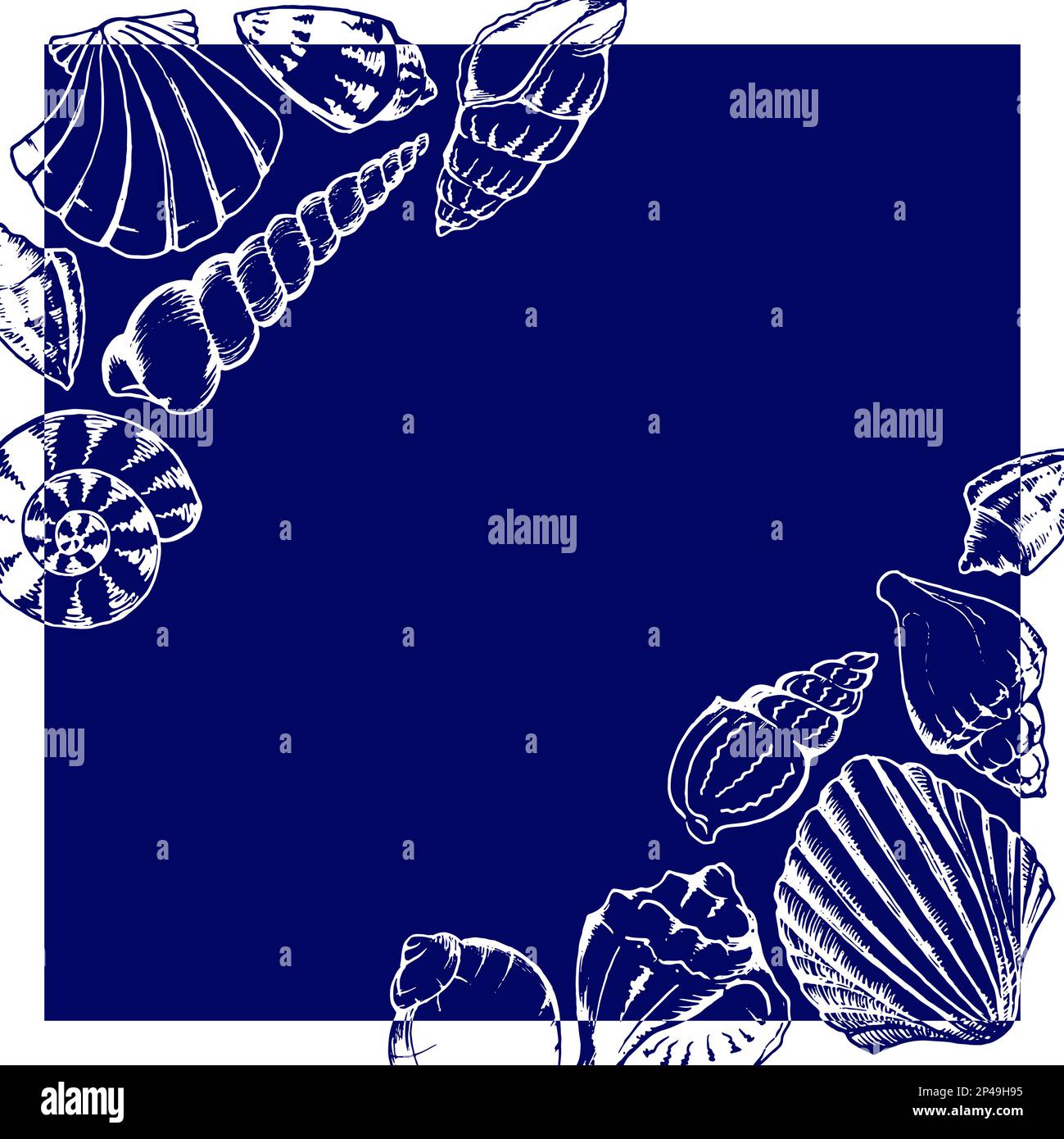 Monochrome sea shells line art hand drawn frame vector isolated Stock ...