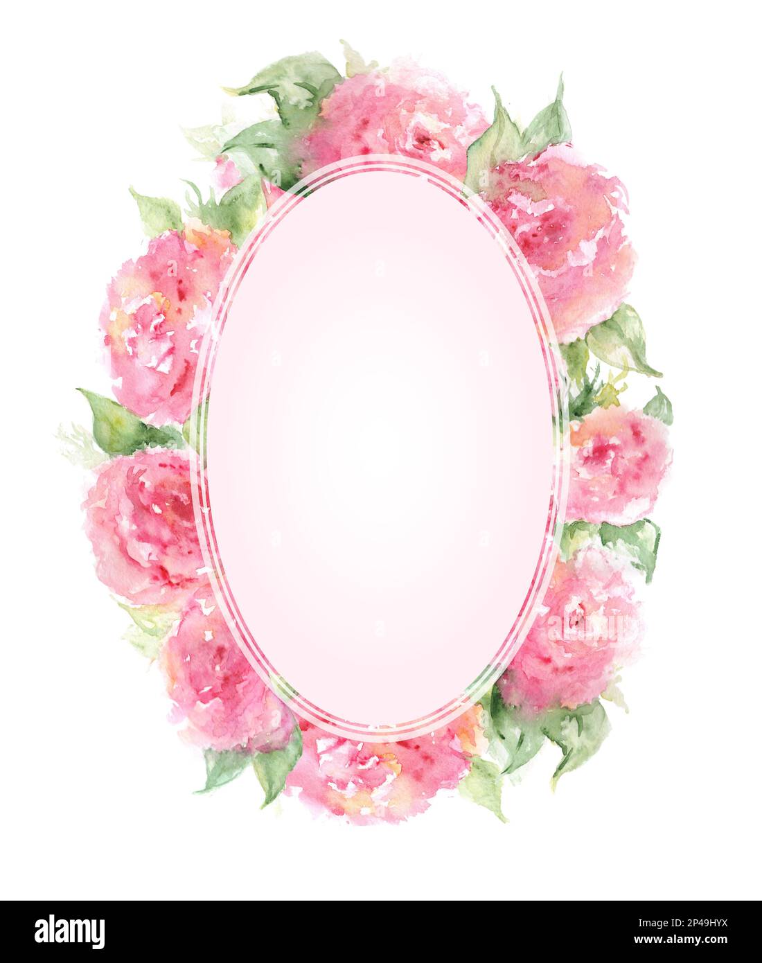 Watercolor pink tea rose peony flower floral composition frame border ...