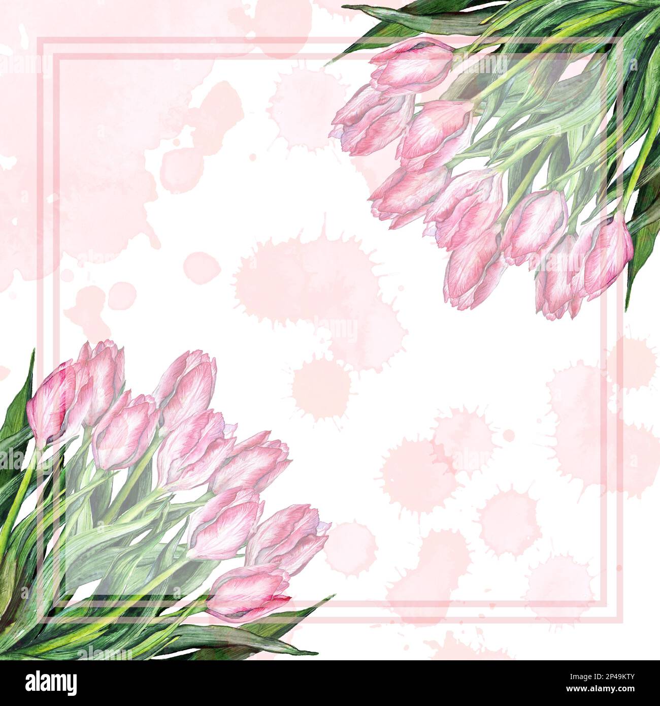 Watercolor pink tulip flower bouquet composition nature spot frame ...
