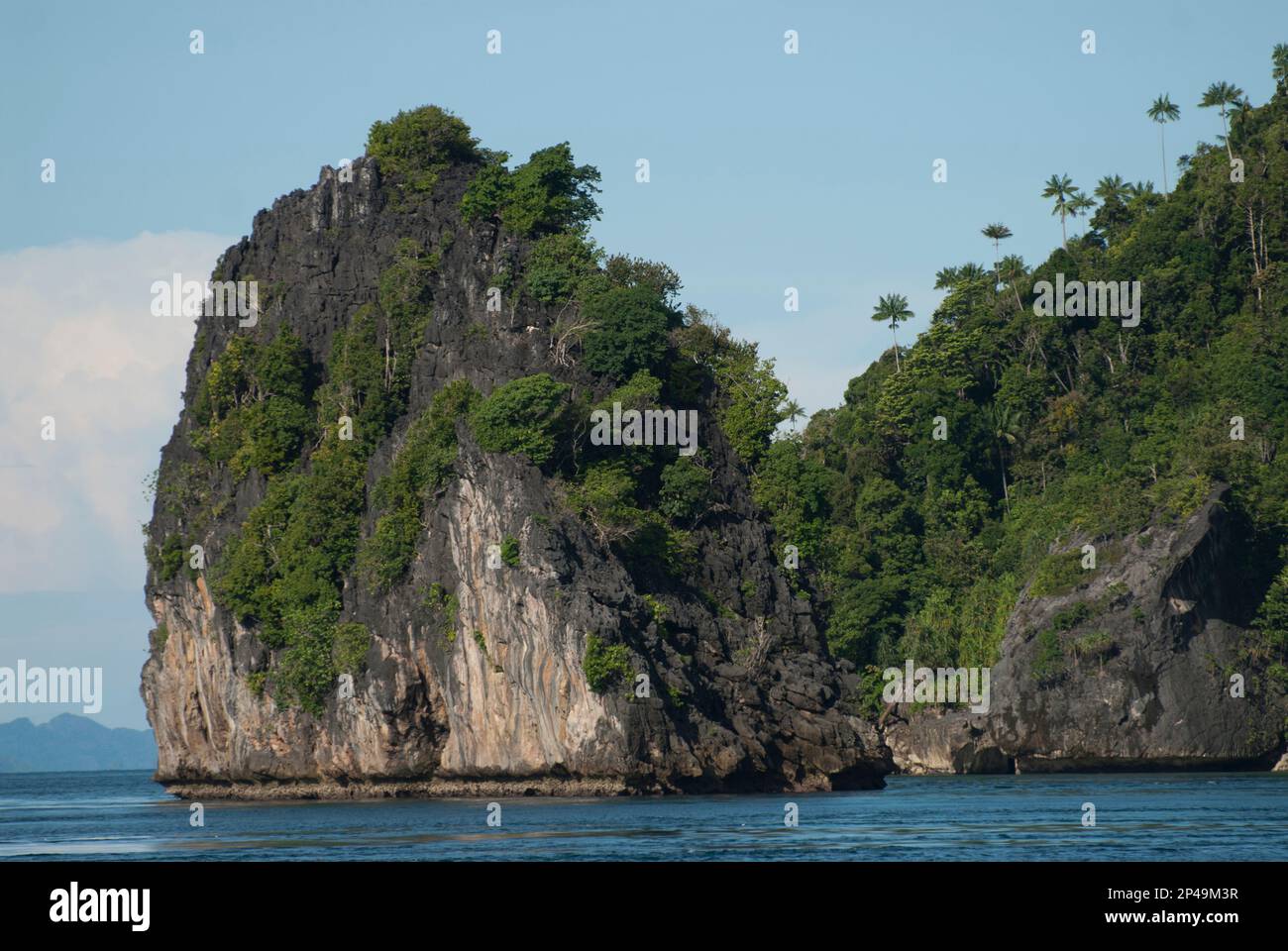 Limestone rock islands, Raja Ampat, West Papua, Indonesia Stock Photo ...