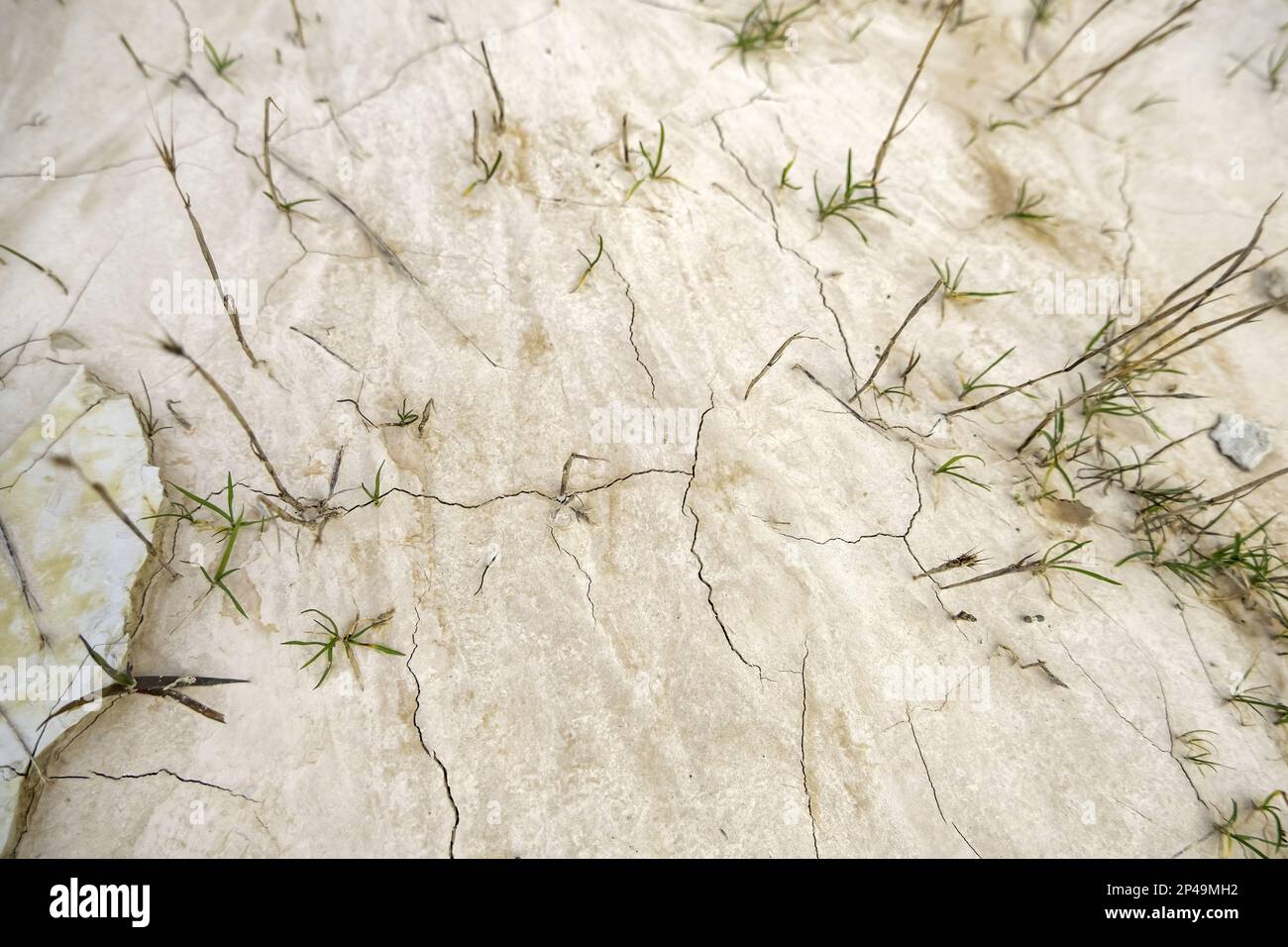 Detail of climate change and environmental destruction Stock Photo - Alamy
