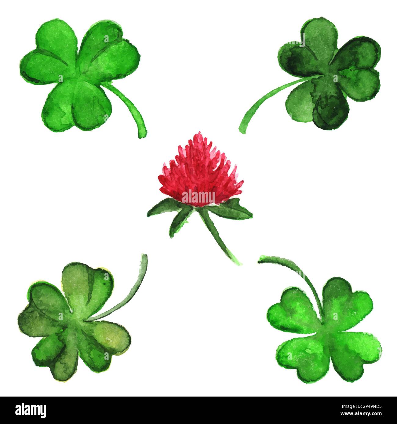 Watercolor vector clover shamrock flower set isolated Stock Vector ...