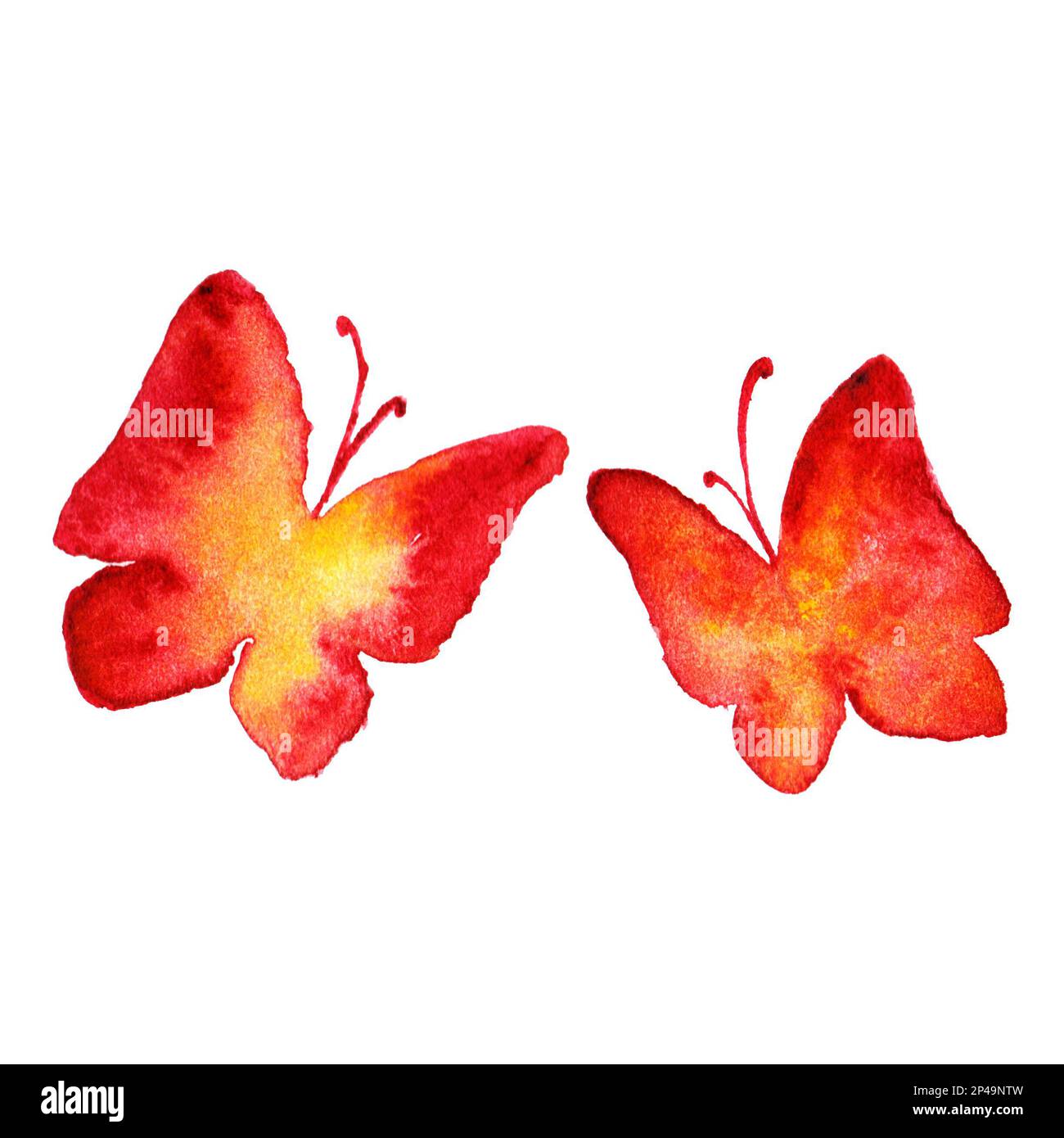 Watercolor red yellow butterfly hand drawn set isolated Stock Photo - Alamy