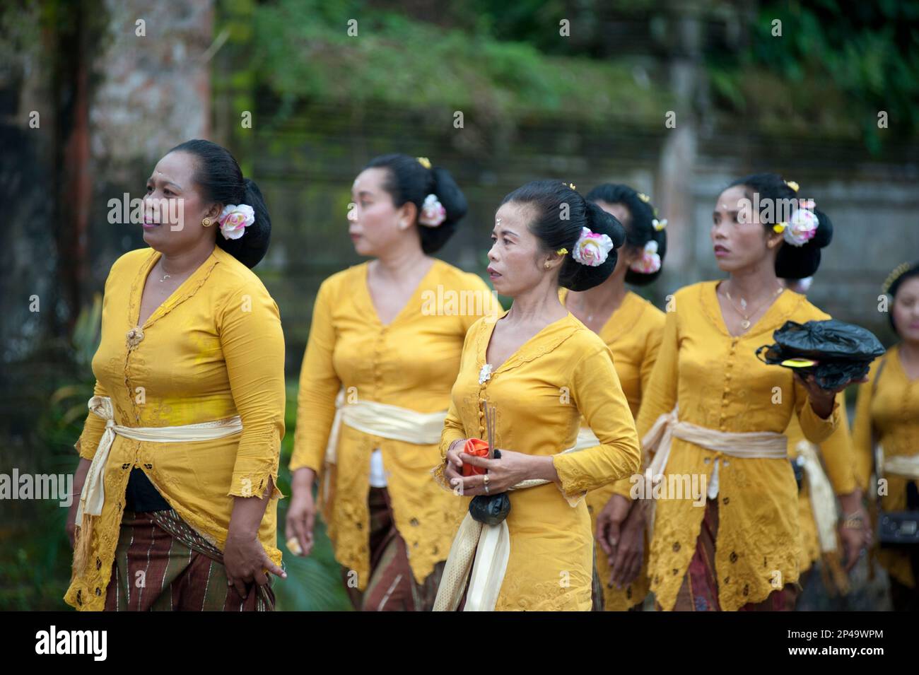 Women in yellow on the way to go to prayers, Siat Sampian (coconut leaf ...