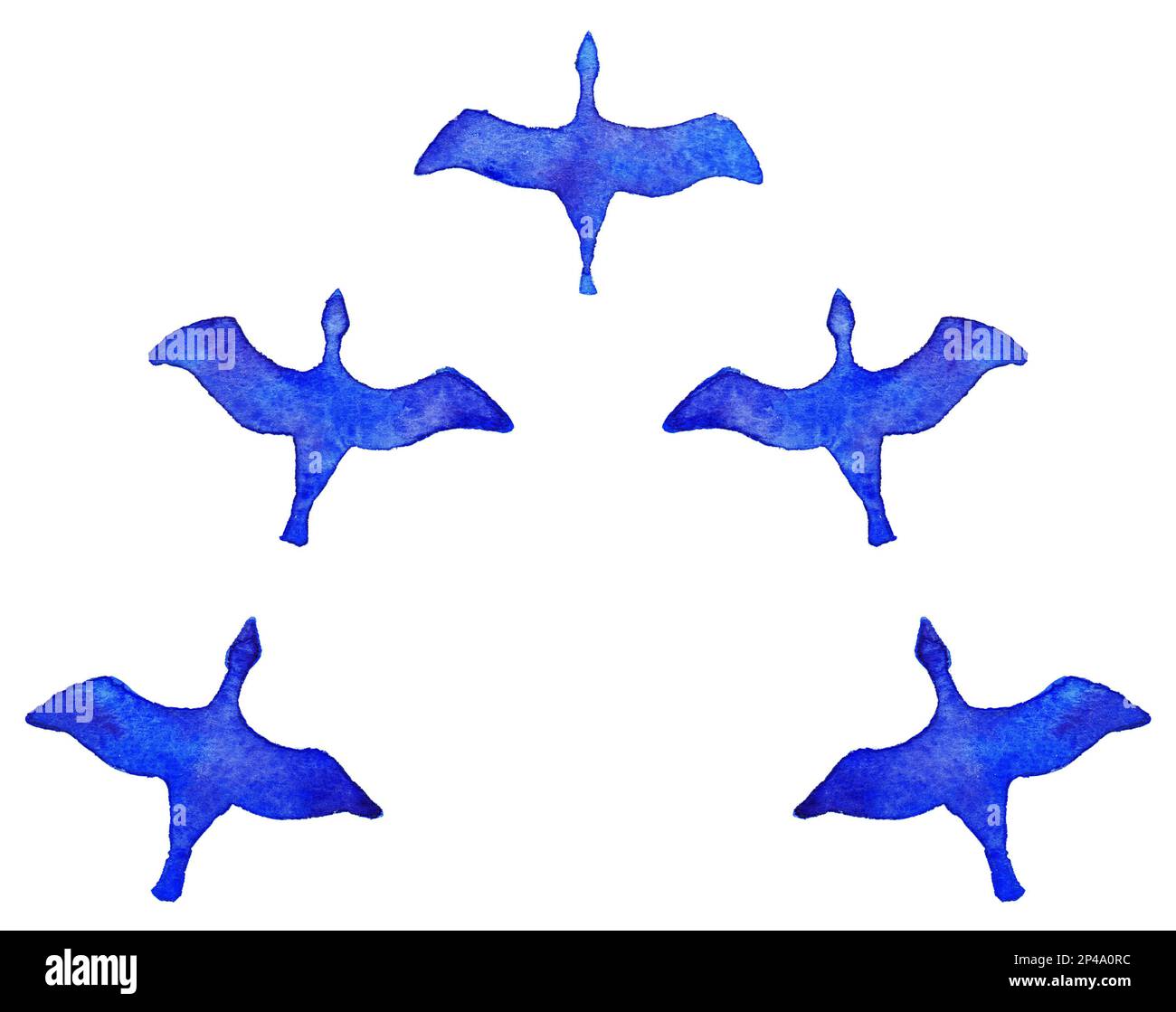 Watercolor hand drawn blue violet bird set isolated art Stock Photo - Alamy