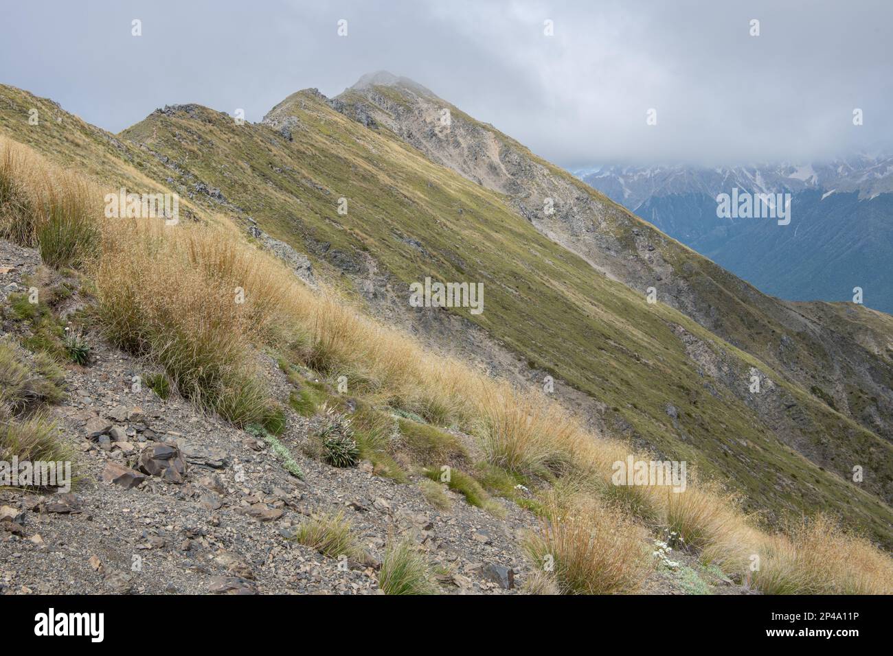 A high elevation mountain ridge in the St Arnaud range of the southern ...