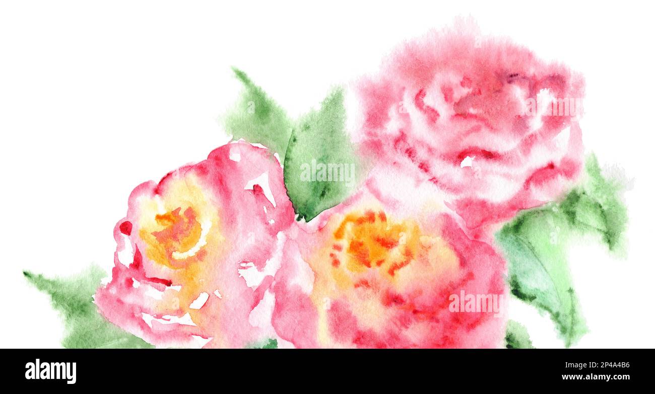 Pink Tea Rose Drawing