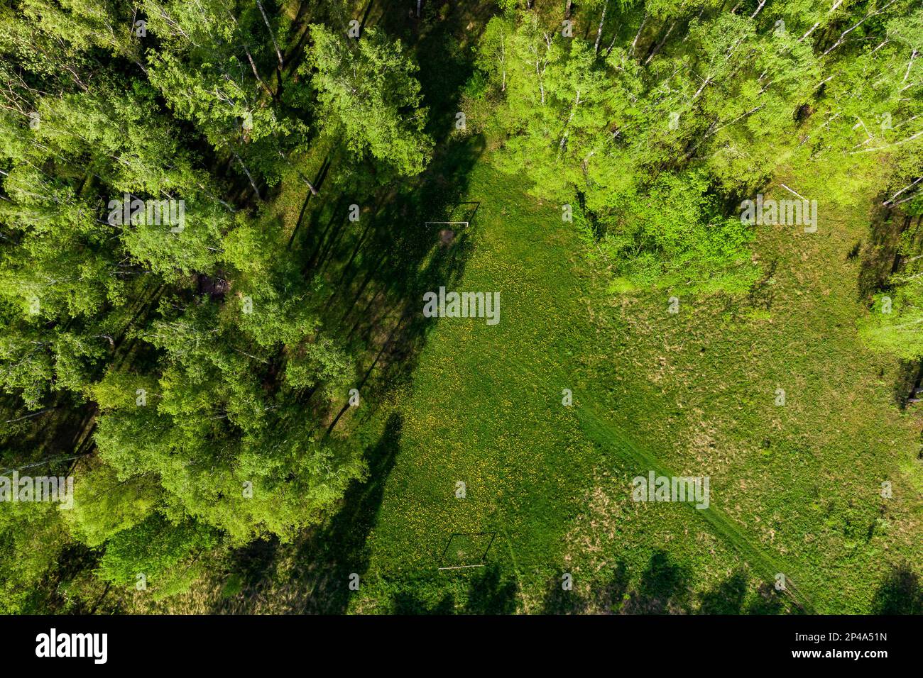 Beautiful green forest with an amateur football field, view from a ...