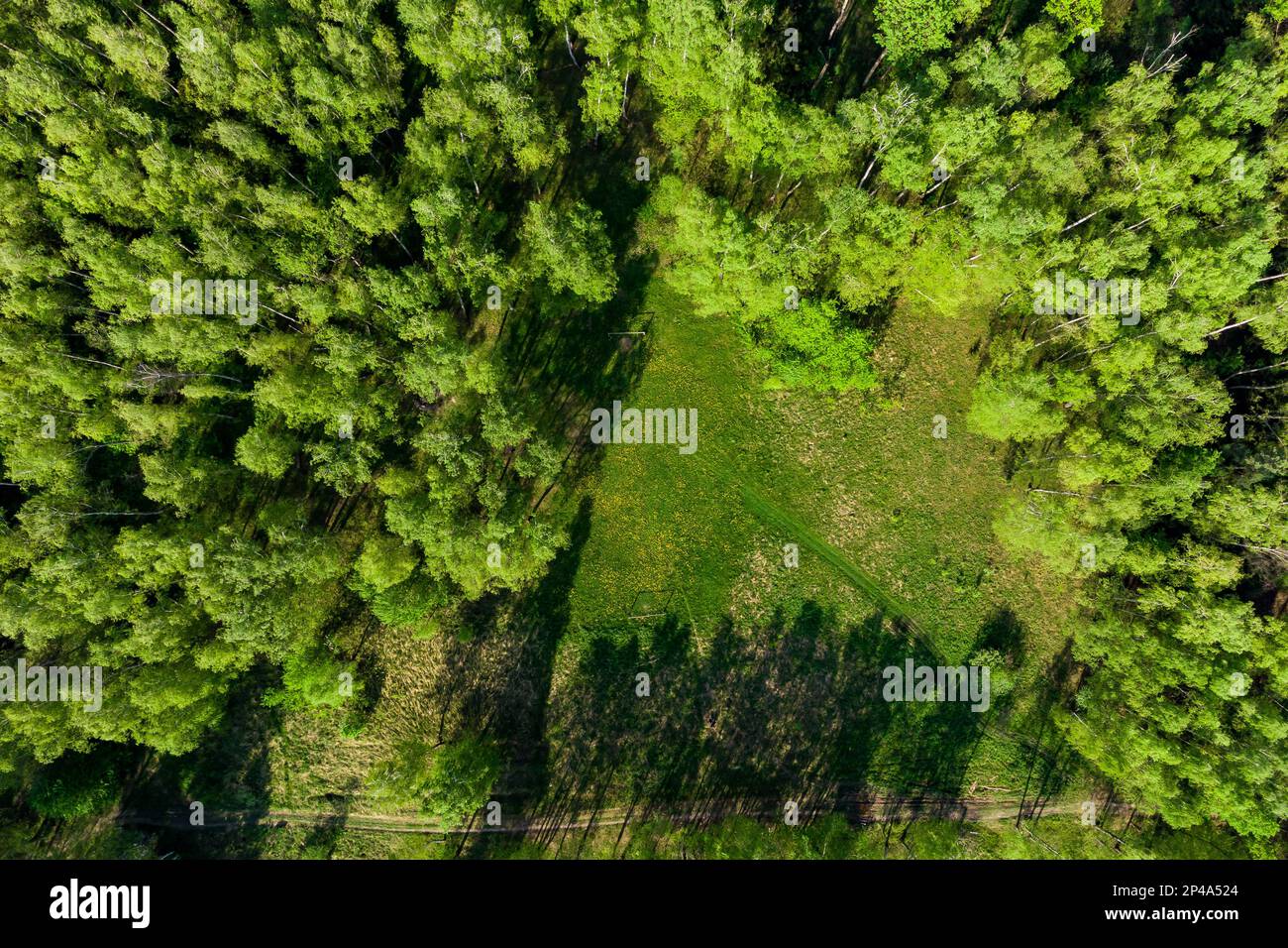 Beautiful green forest with an amateur football field, view from a ...