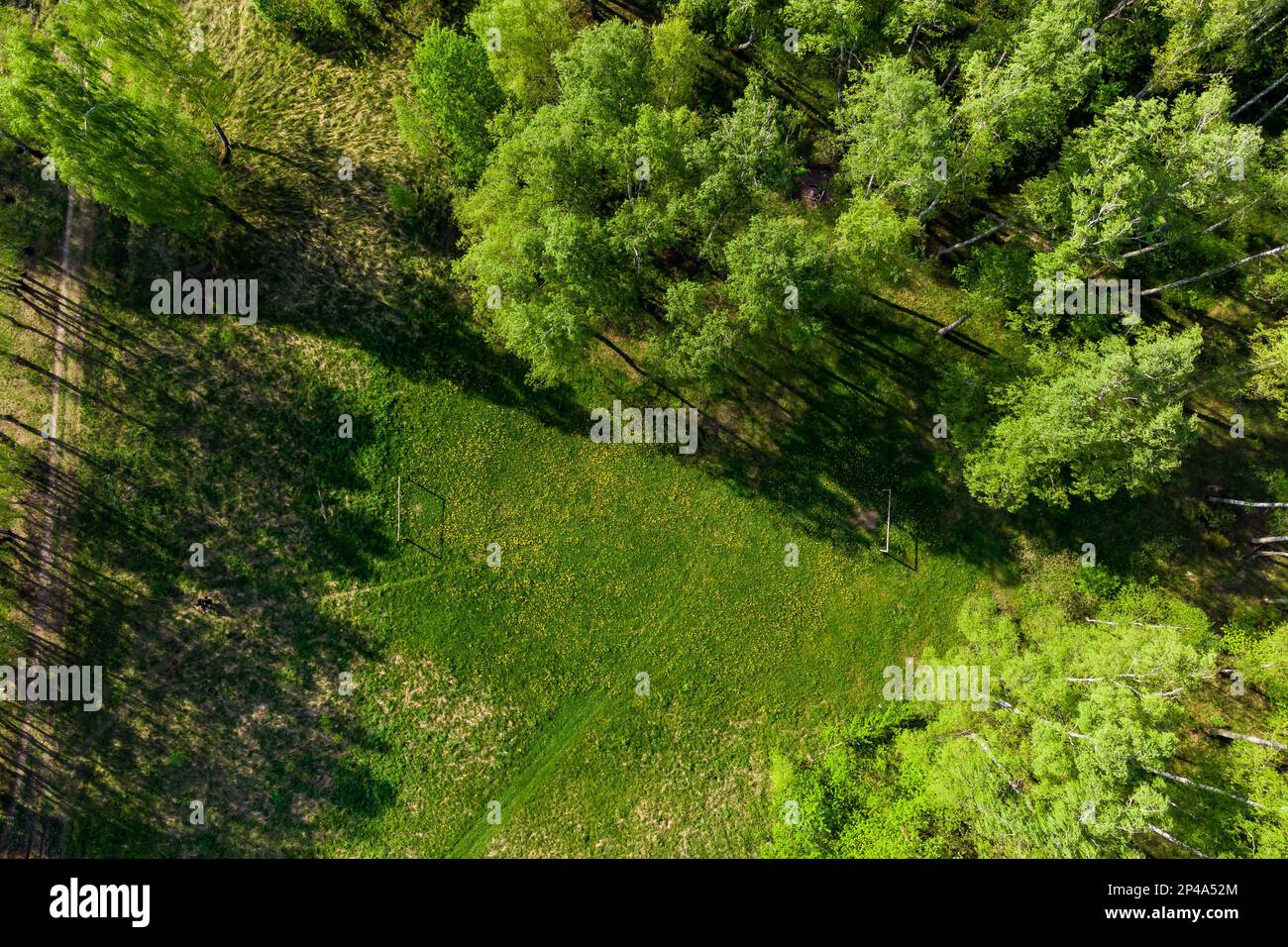 Beautiful green forest with an amateur football field, view from a ...