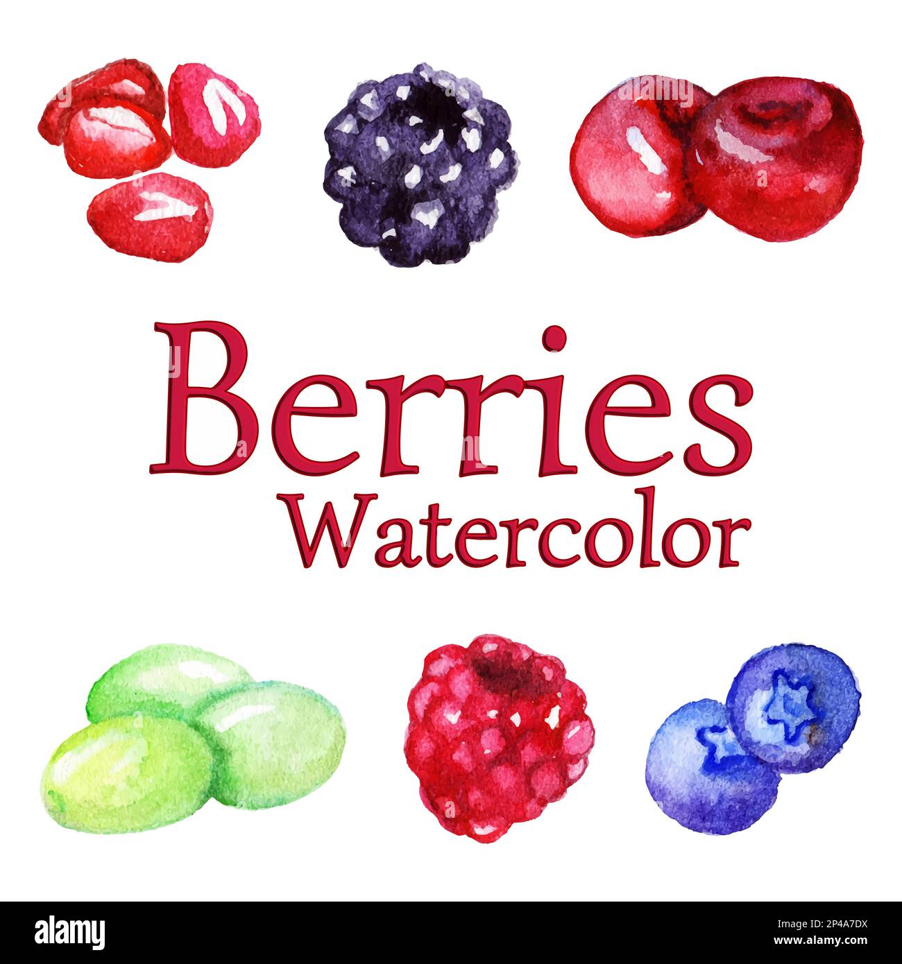 Watercolor pomegranate blackberry cherry grape raspberry blueberry set ...