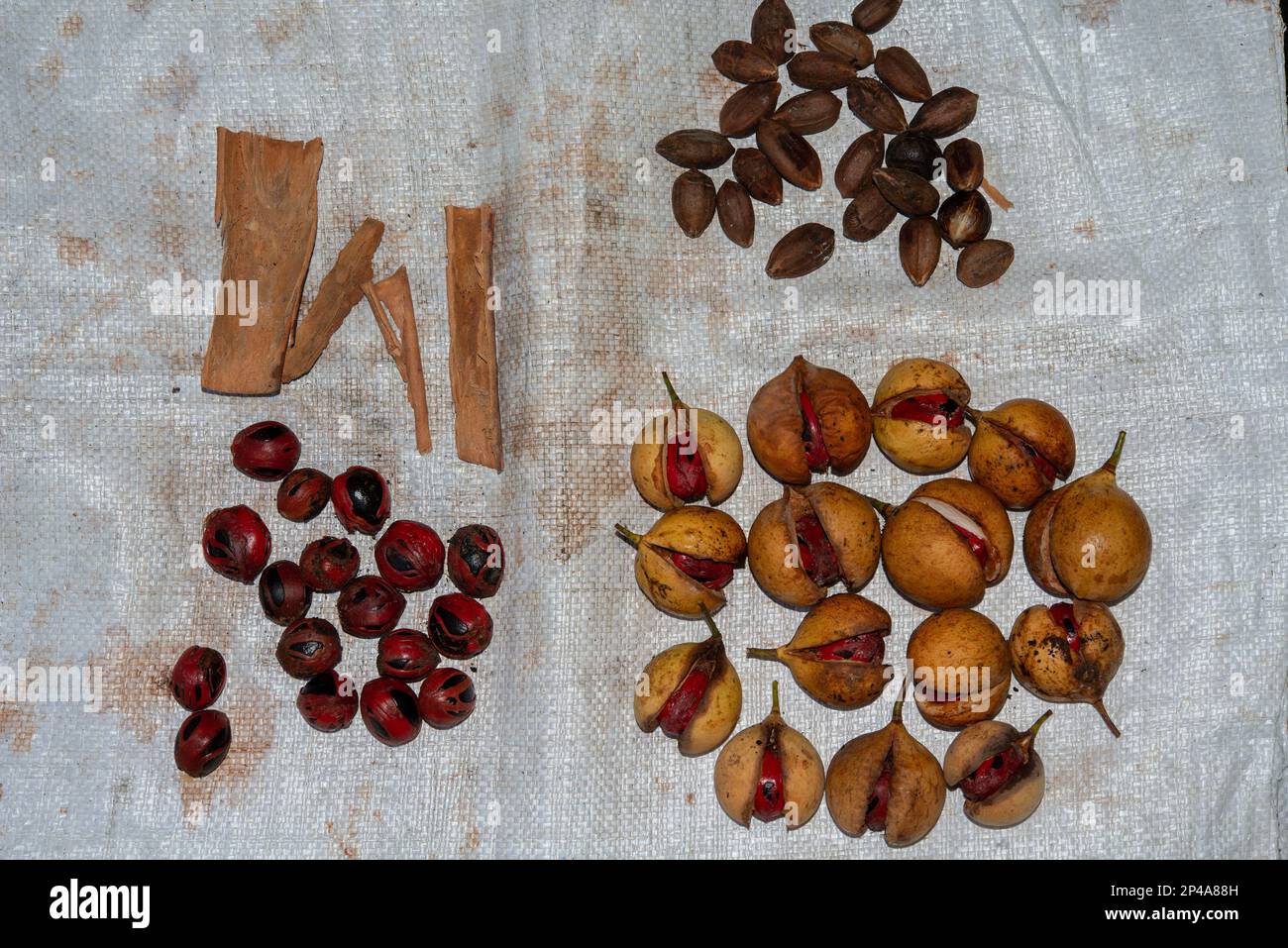 Spices, including cinnamon bark, almonds, nutmeg mace, and whole cut ...
