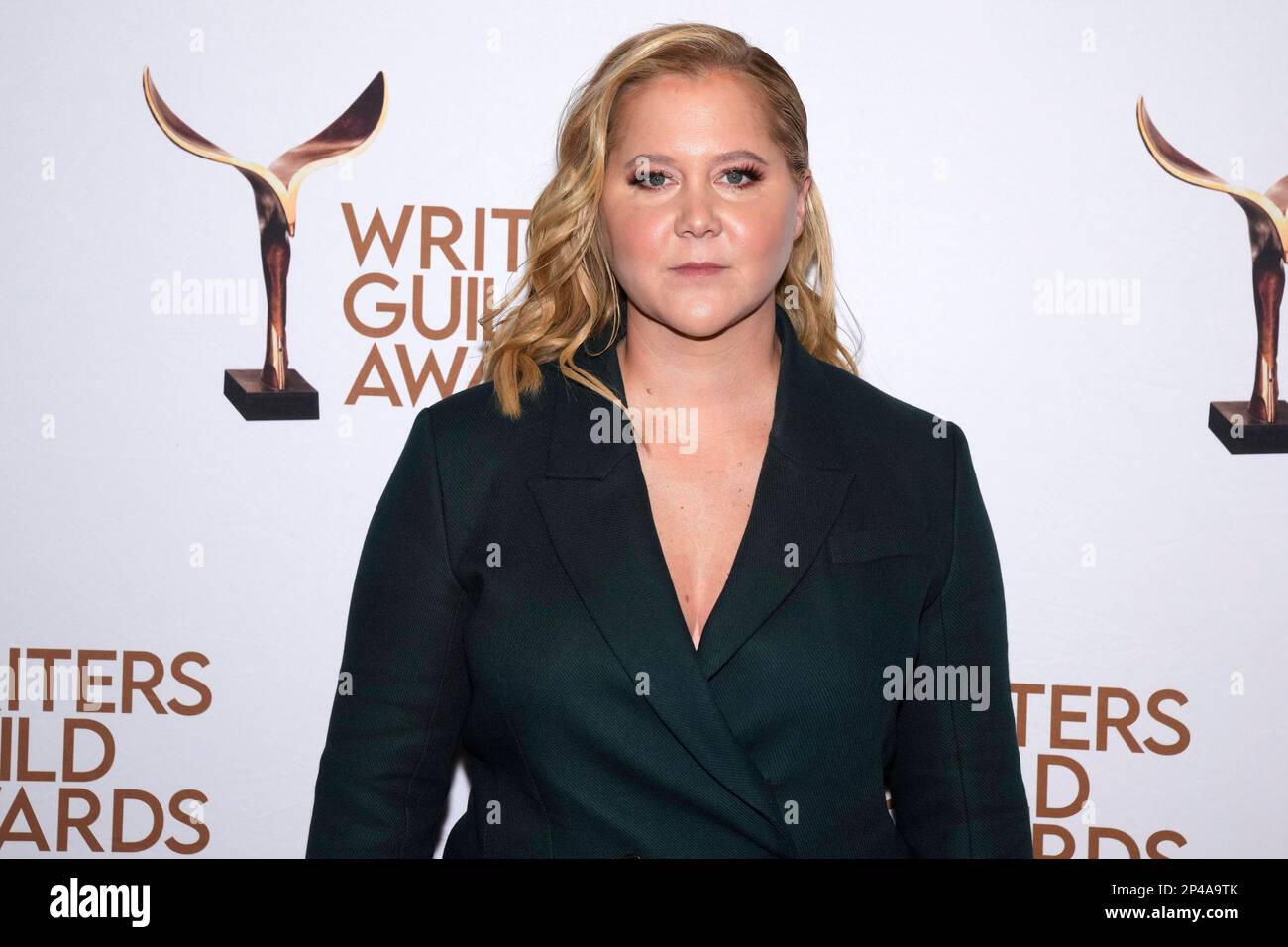 Amy Schumer attends the 75th annual Writers Guild Awards at the Edison ...