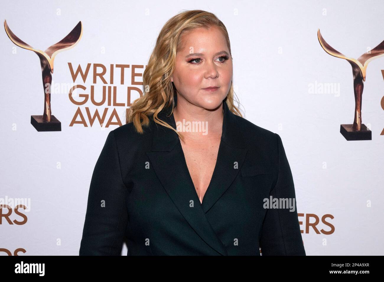 Amy Schumer attends the 75th annual Writers Guild Awards at the Edison ...