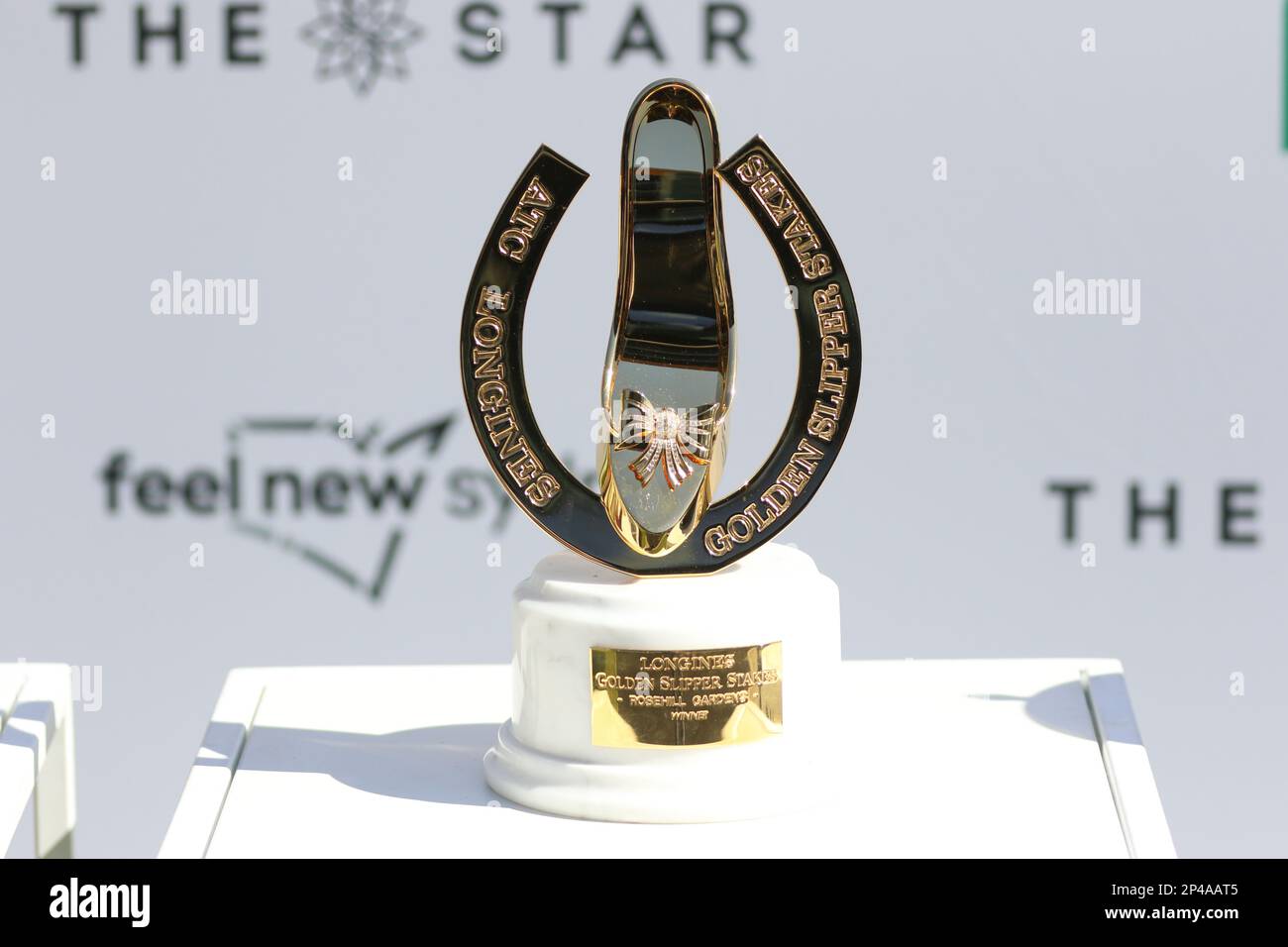 Golden slipper trophy hi-res stock photography and images - Alamy