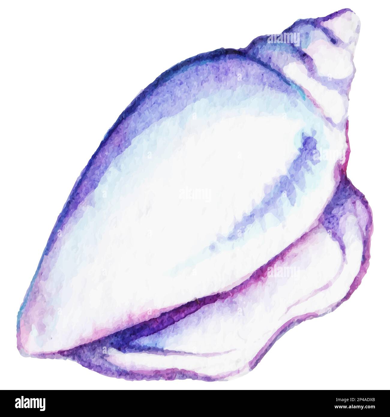 Watercolor sea shell isolated clip art vector Stock Vector Image & Art ...